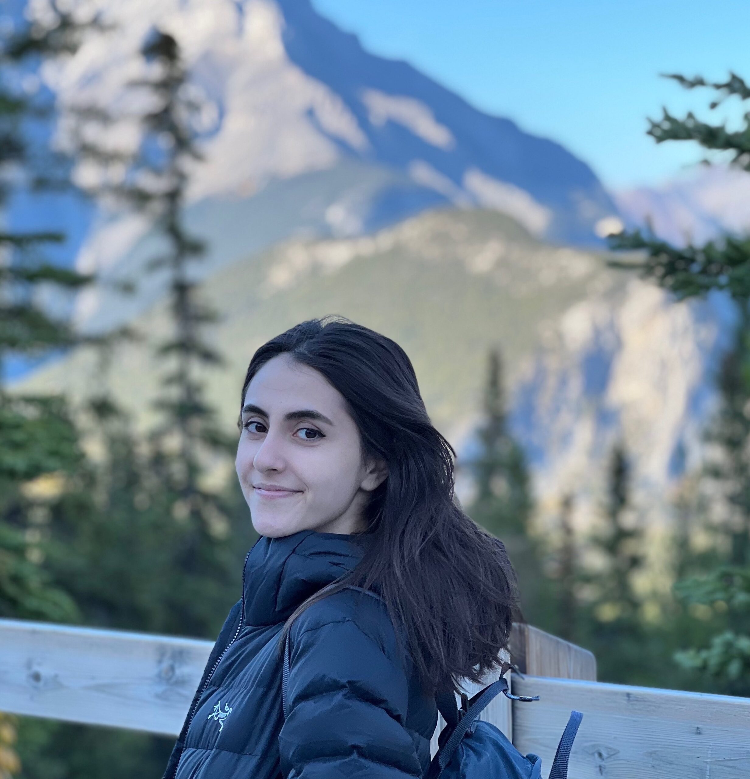 Fatemeh Tavakoli - Vector Institute for Artificial Intelligence